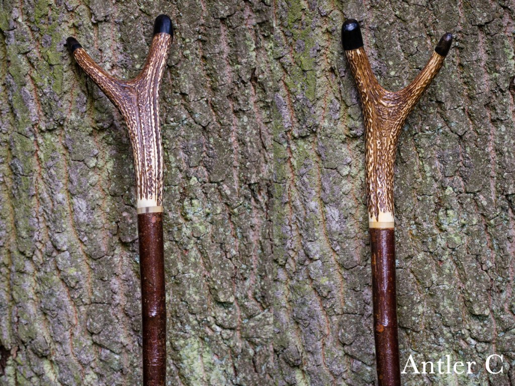 Stick | Lord's Country Sticks