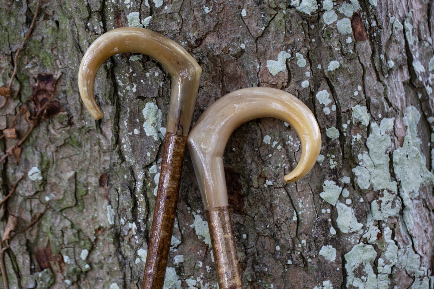 Stick | Lord's Country Sticks